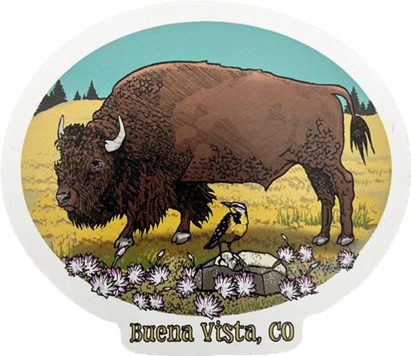 Bison Sticker – Souled Out T-Shirts